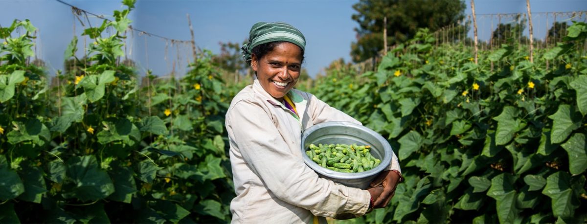 Who we are – Reitzel